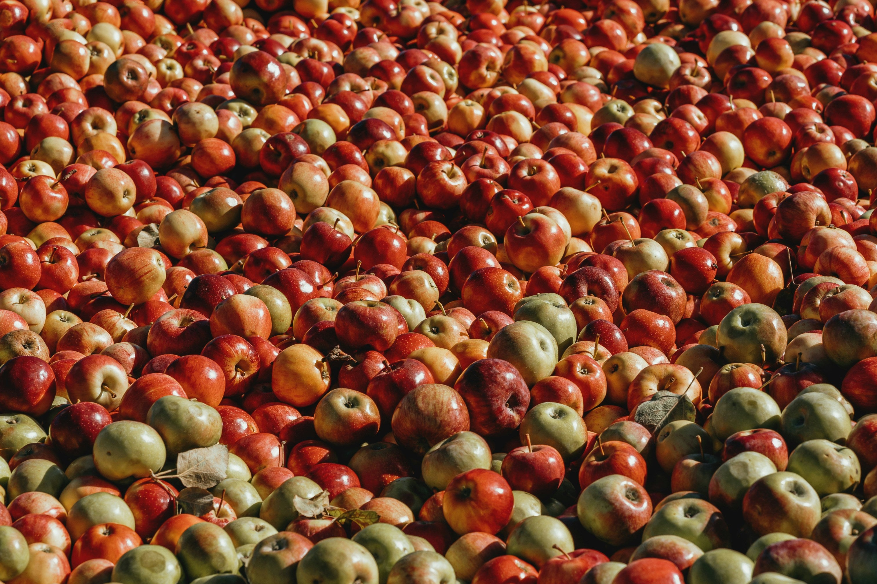 The Best British Craft Ciders of 2024 | Farmfetch