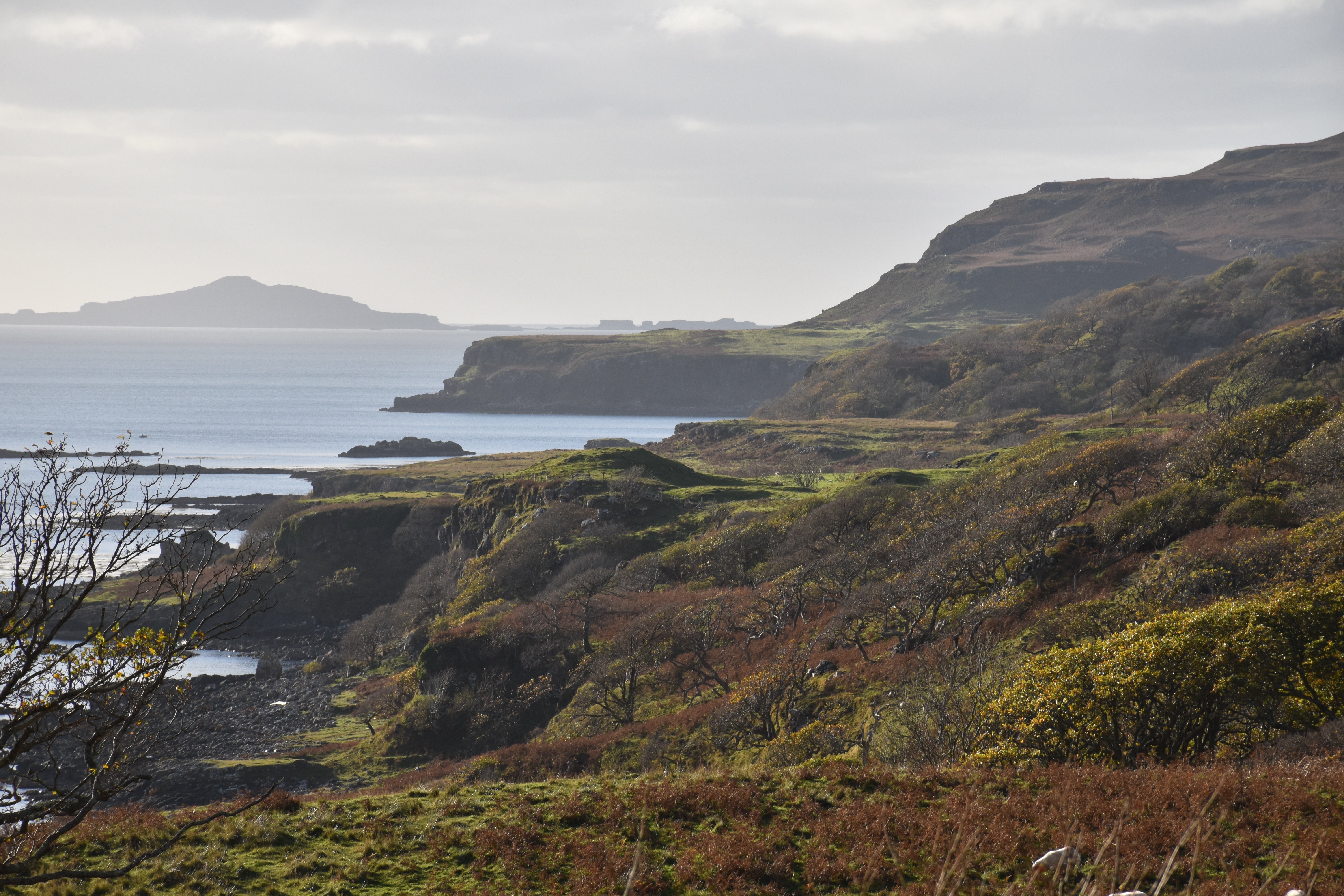 Produce from Scotland | Farmfetch
